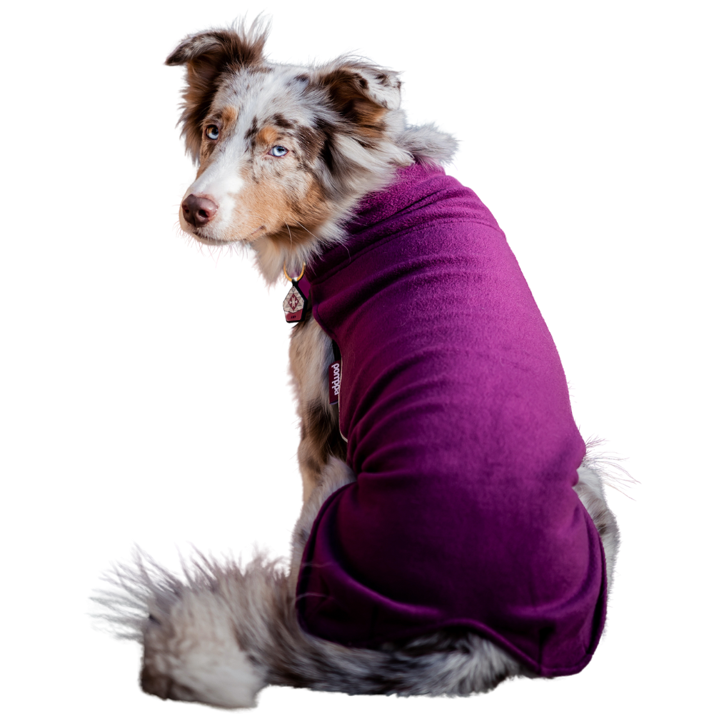 Riietus Archives - Lemmikupood